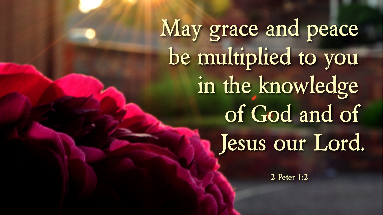 2 Peter‬ ‭1:2‬ - Daily Devotional In Christ