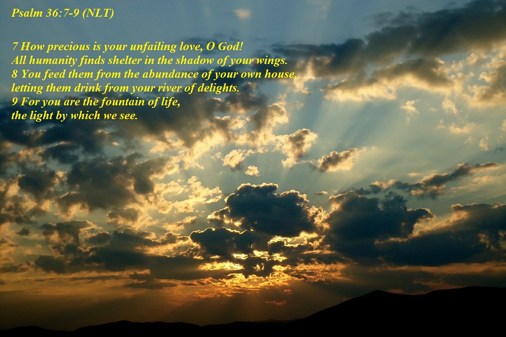 THE LORD IS A GOD Of Both Intricate Detail And Overflowing Abundance