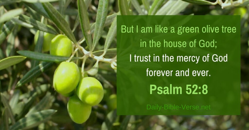 Psalms 52 8 Daily Devotional In Christ