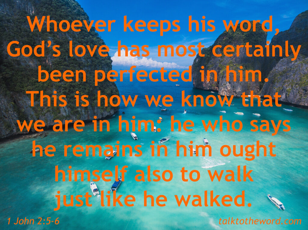 1 John 2 5 6 Daily Devotional In Christ 1 John 2 5 6 Daily Devotional In Christ